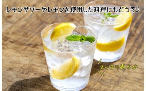 レモン 大玉 国産 箱込5kg(内容量約4.4kg) 秀品 3L 4L 5L サイズミックス 和歌山県有田産 【みかんの会】 2394520 - 和歌山県有田川町 | au PAY ふるさと納税